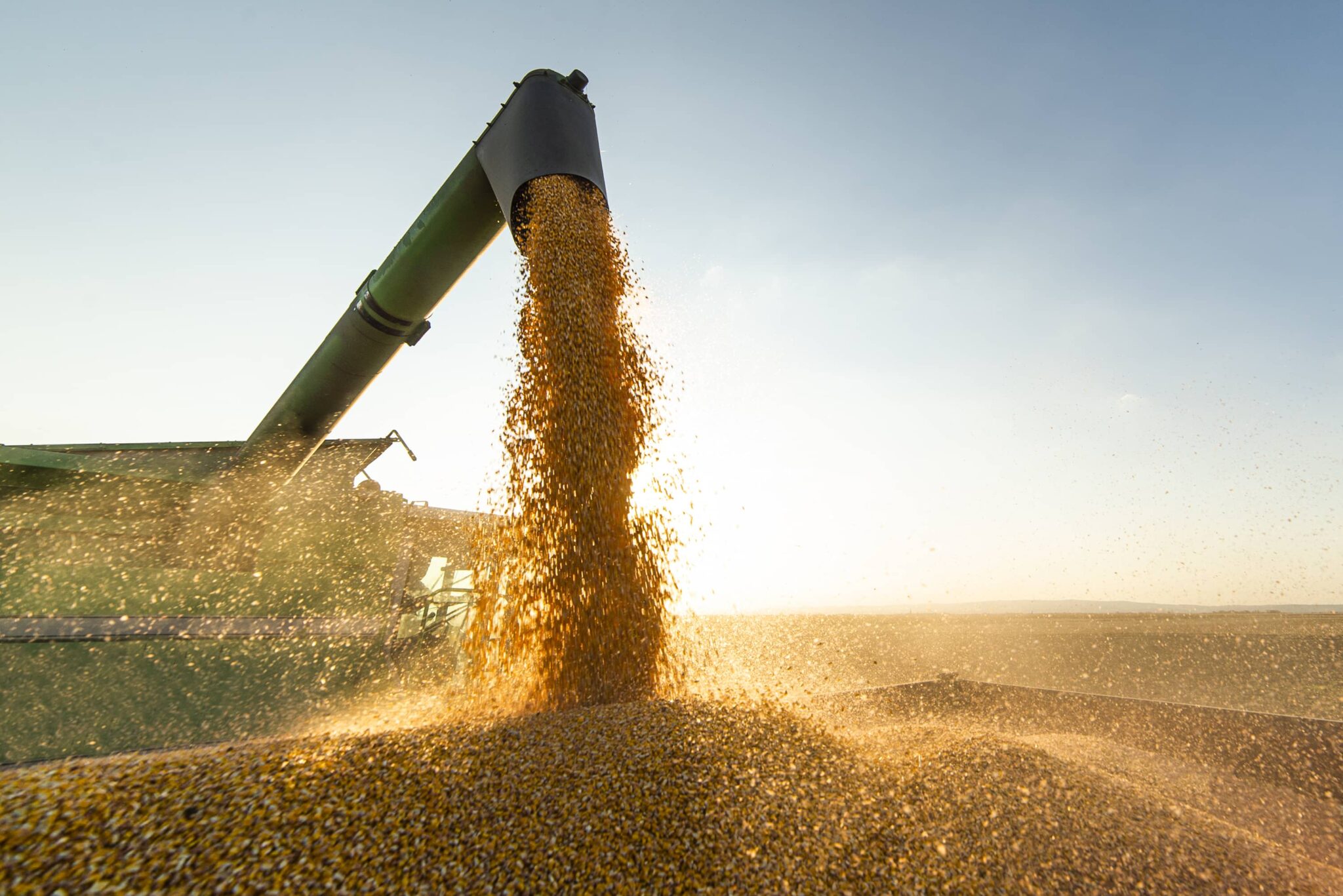 Countyline Co-op | Famer-Owned Cooperative in Northwest Ohio